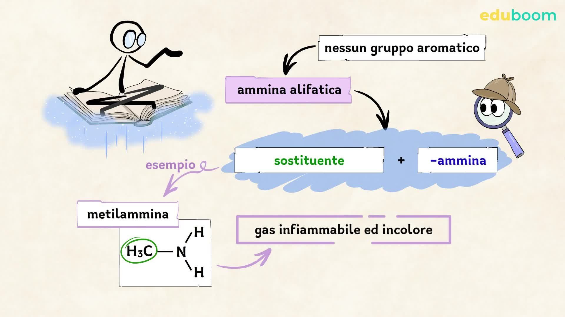 Ammine. Struttura e nomenclatura. Scienze naturali quinta superiore