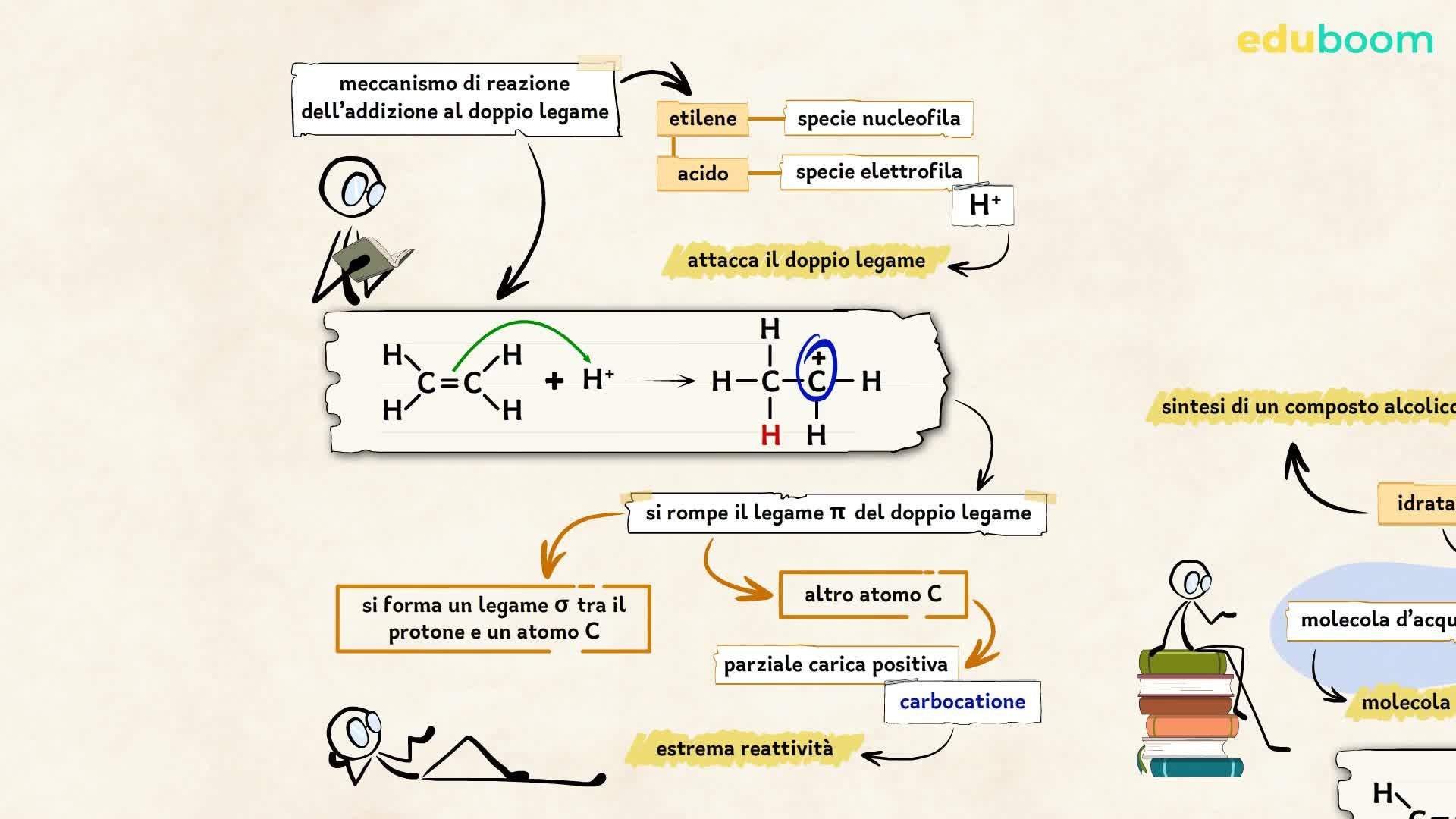Addizione al doppio legame. Prima parte. Scienze naturali quinta superiore