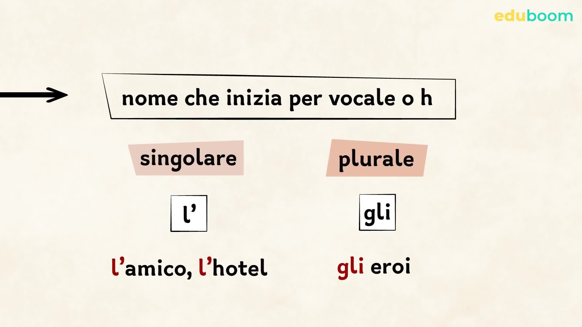 Le forme dell'articolo. Lingua italiana prima media