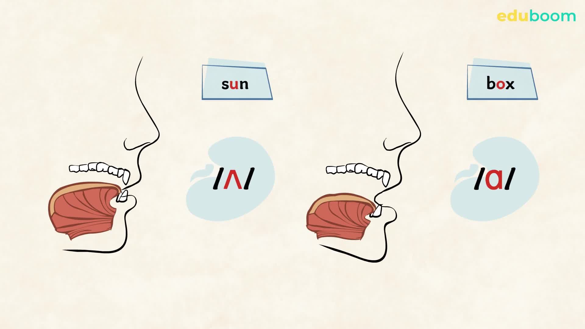 Pronunciation: /ɑ/and /ɔ/. Inglese in inglese livello A0