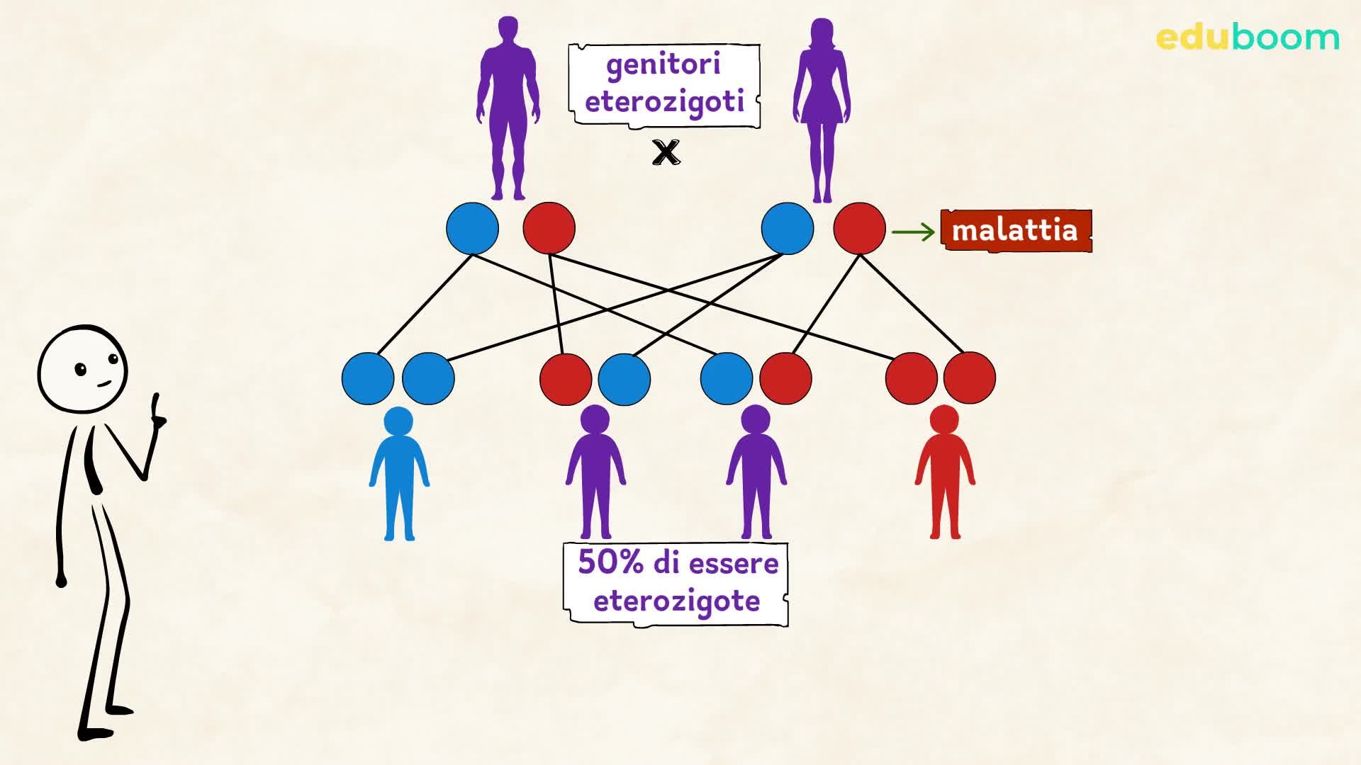 La genetica umana. Scienze naturali seconda superiore