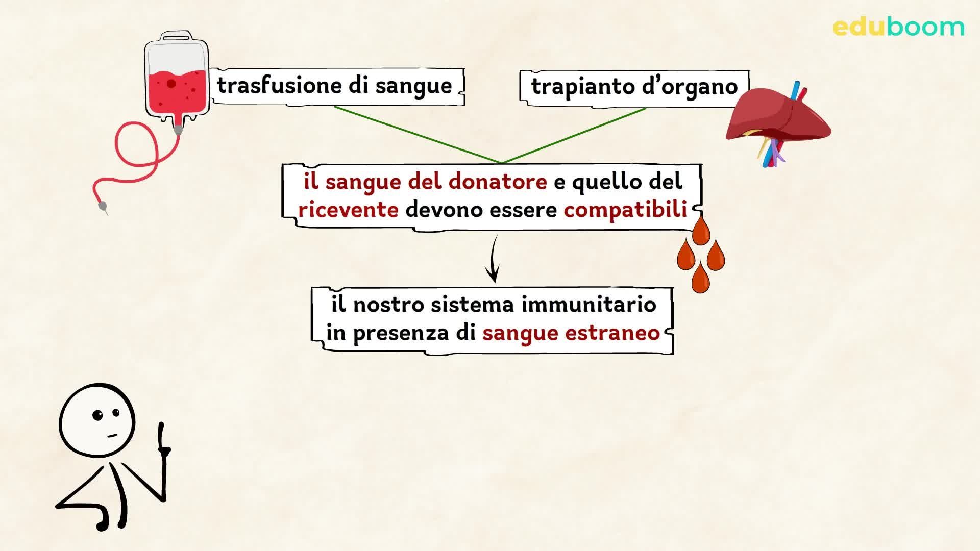 Oltre Mendel. Dominanza incompleta, alleli multipli e codominanza ...