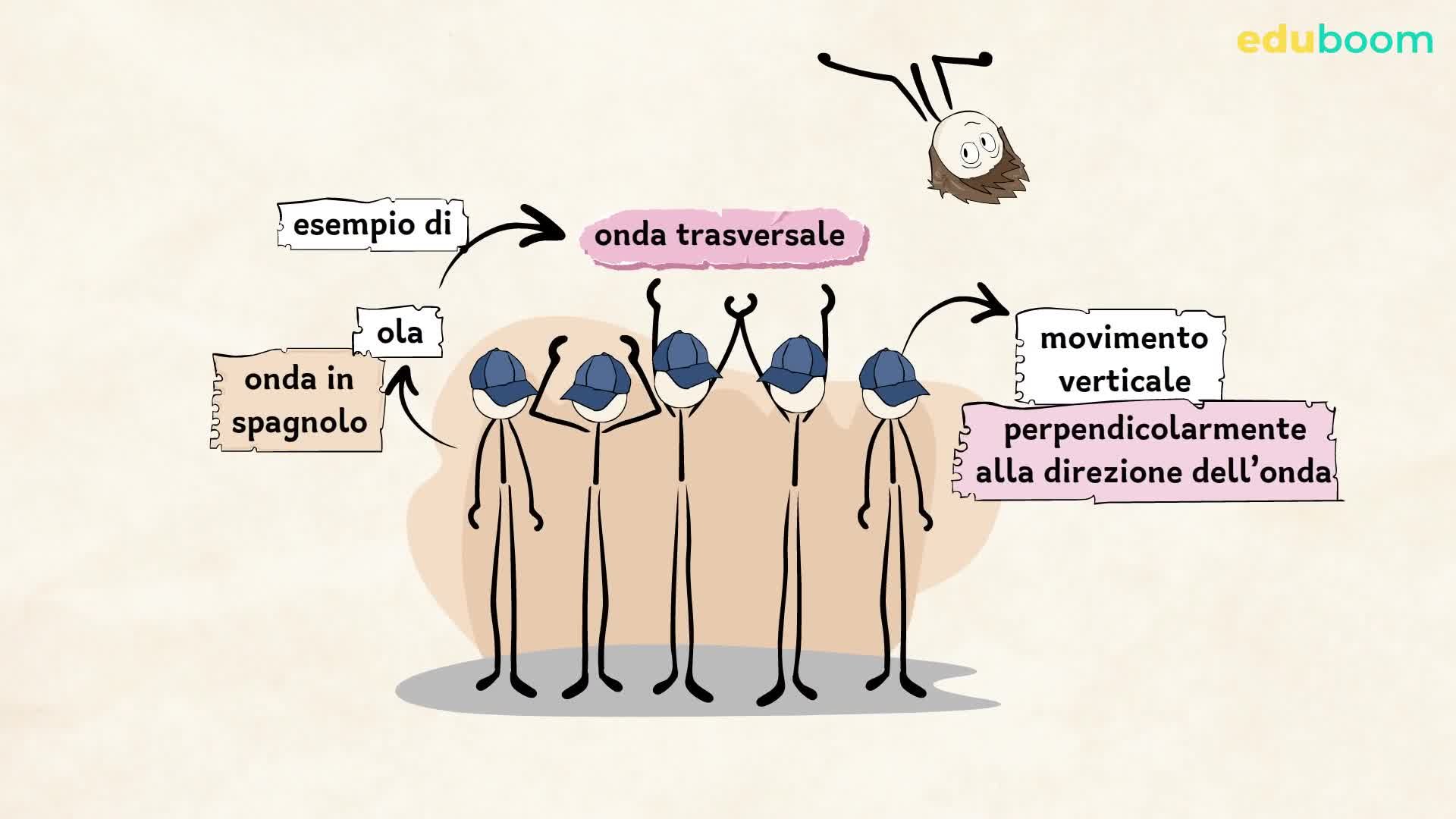 Onde trasversali. Fisica quarta superiore
