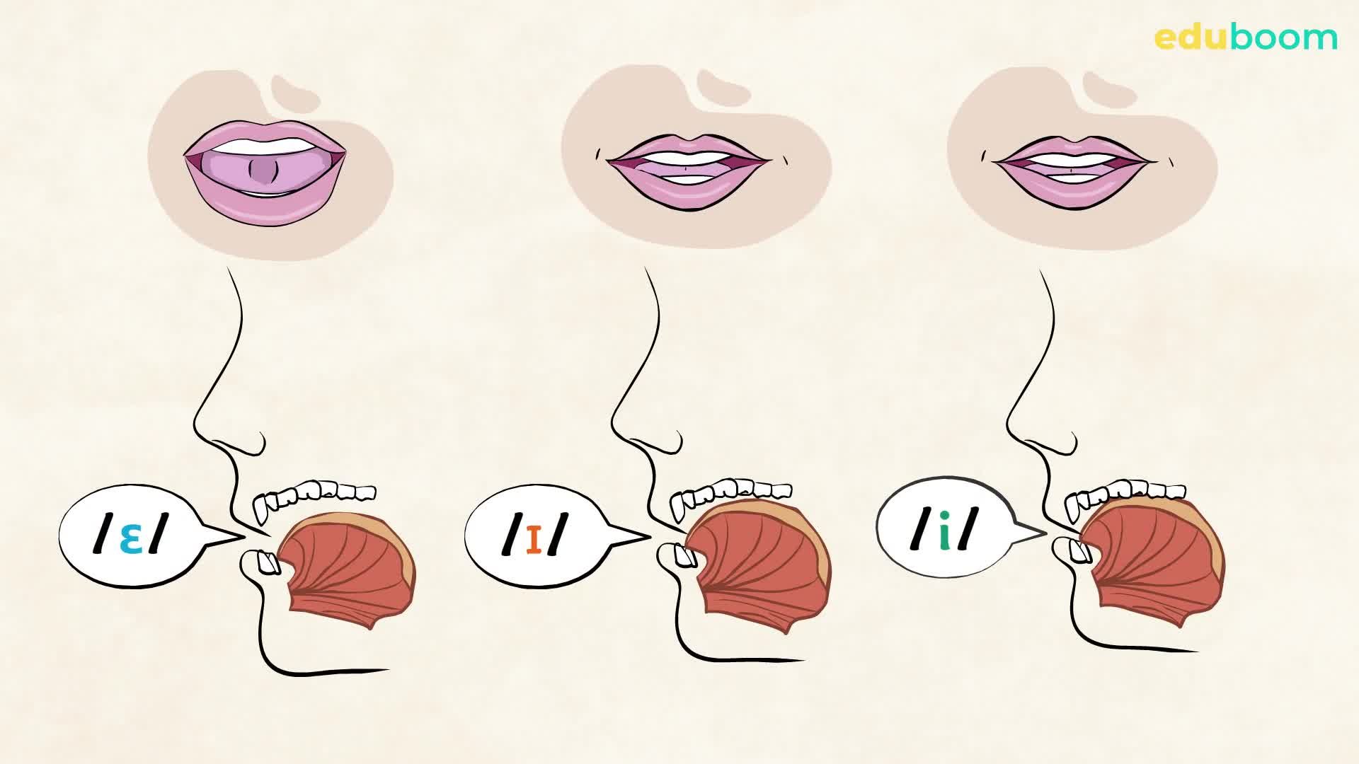 Pronunciation: /i/, /ɪ/, /ɛ/. Inglese in inglese livello A0