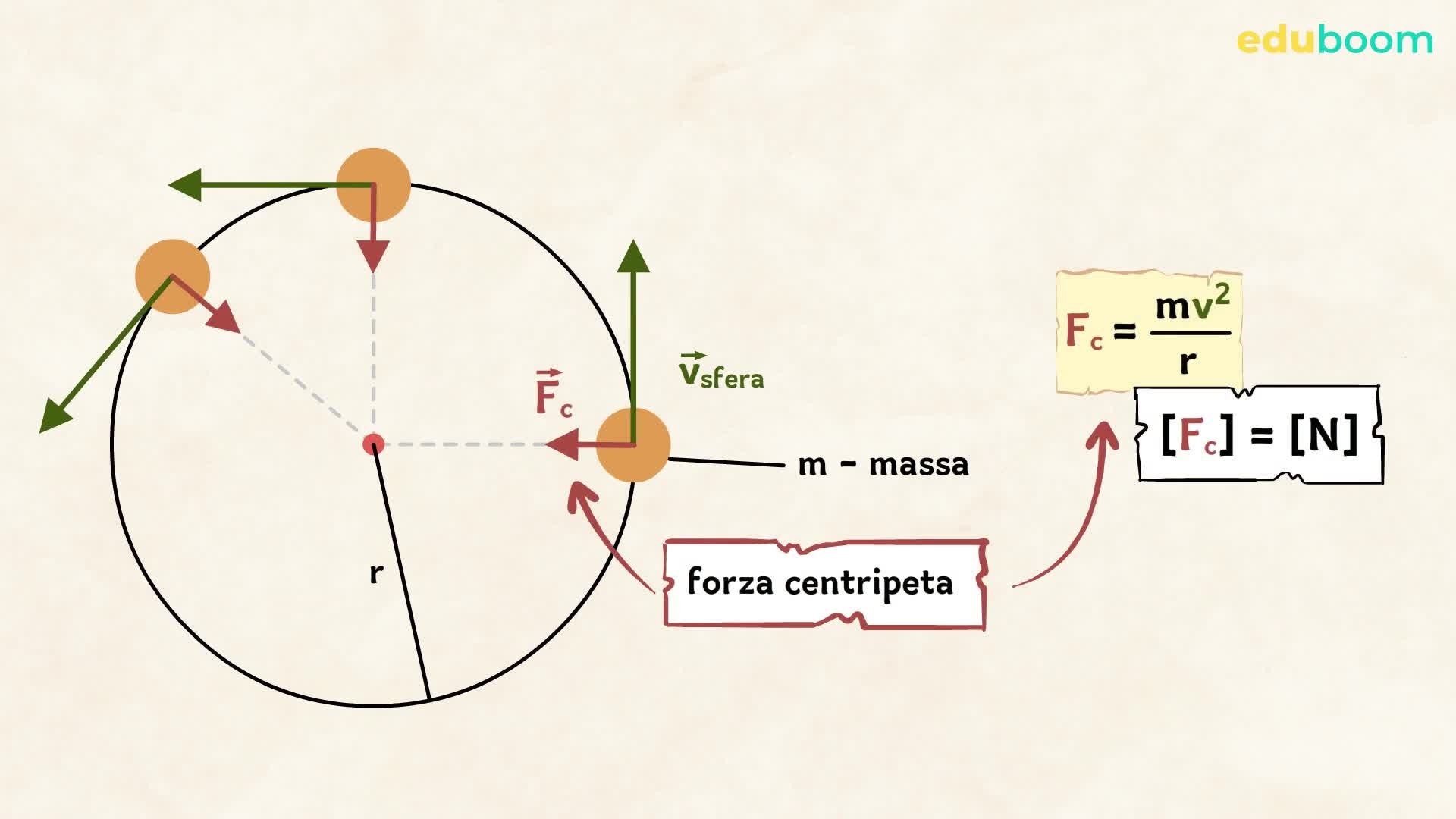 Il moto circolare e la forza centripeta. Fisica terza superiore
