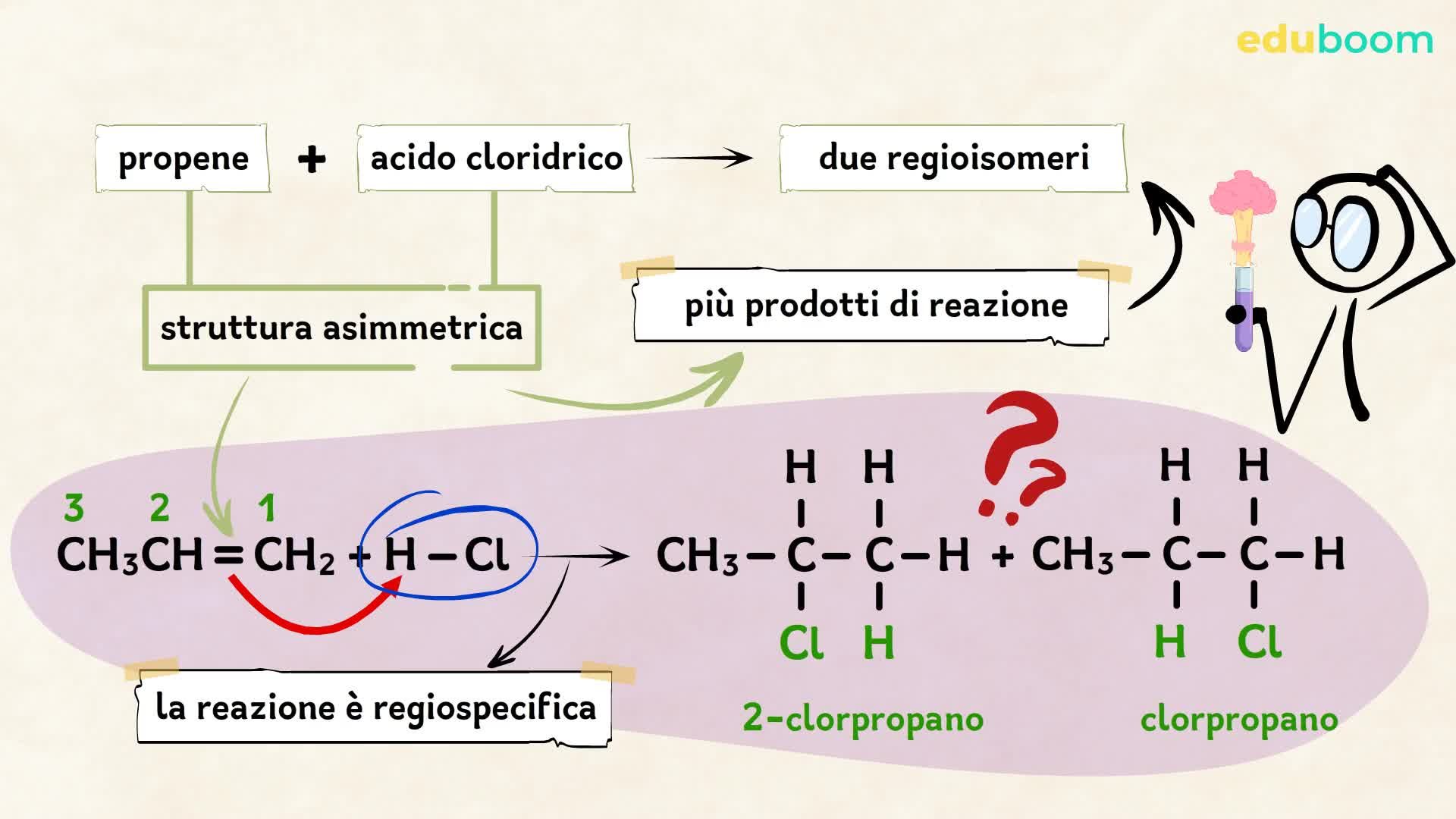 La regola di Markovnikov. Scienze naturali quinta superiore
