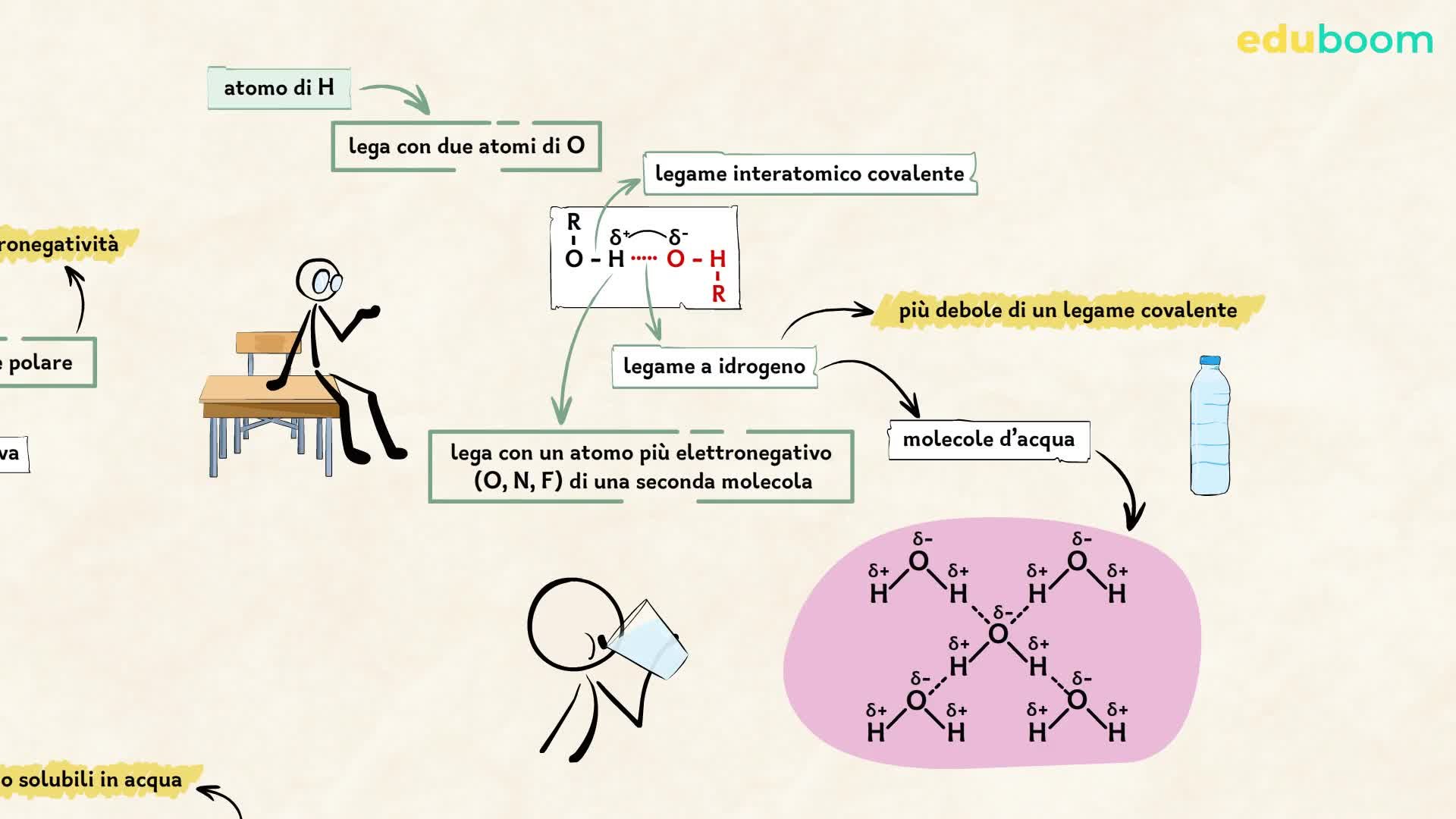 Le proprietà chimico-fisiche degli alcoli. Scienze naturali quinta ...