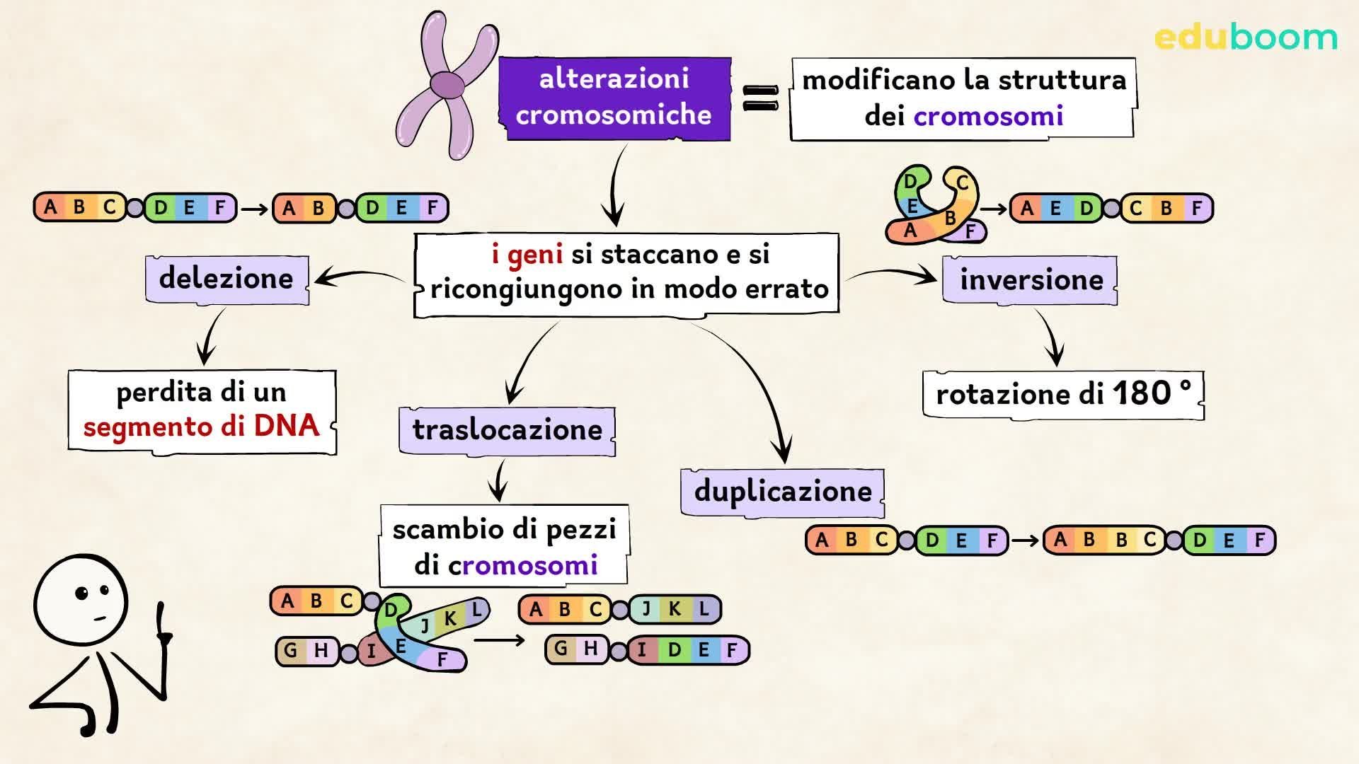 Le mutazioni. Prima parte. Scienze naturali seconda superiore