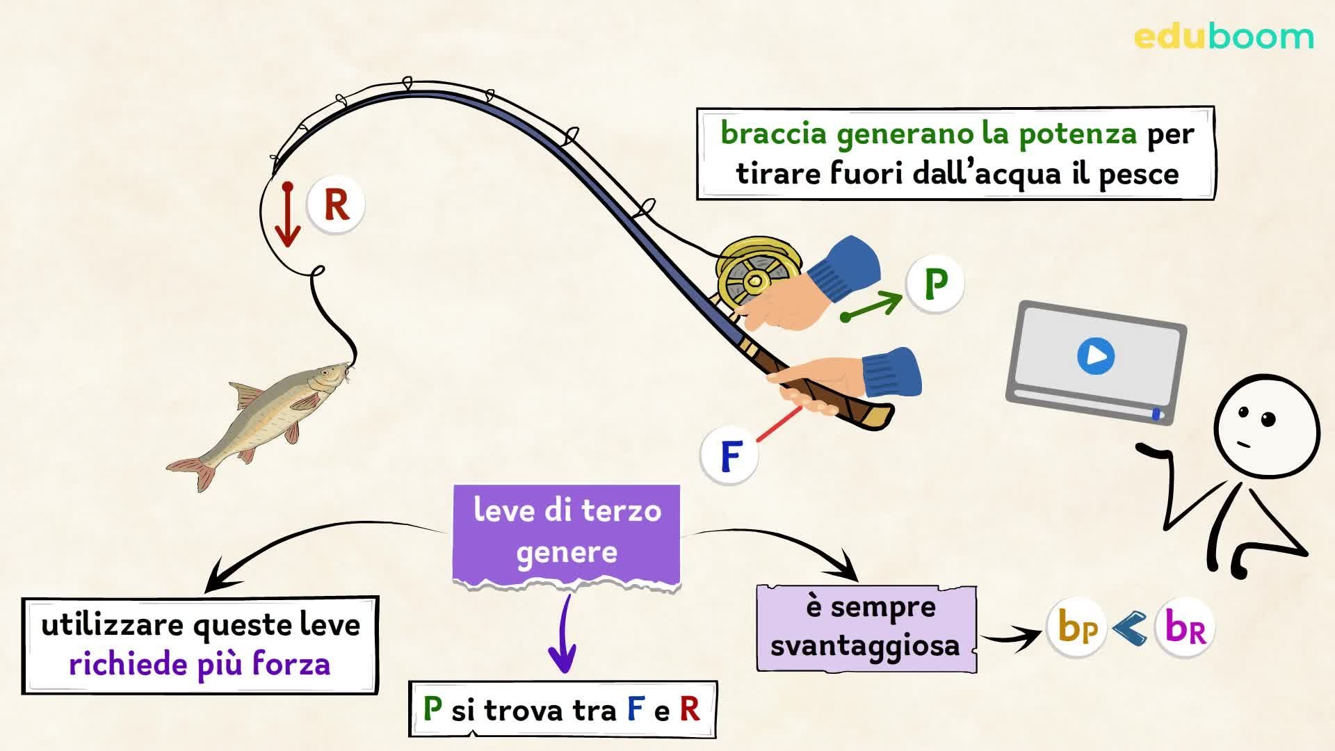 Le leve. I tre generi. Scienze naturali. Seconda media